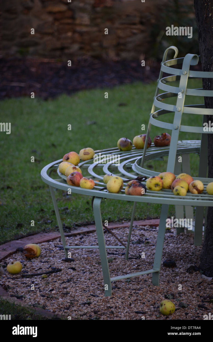 Apple tree bench garden hi-res stock photography and images - Alamy