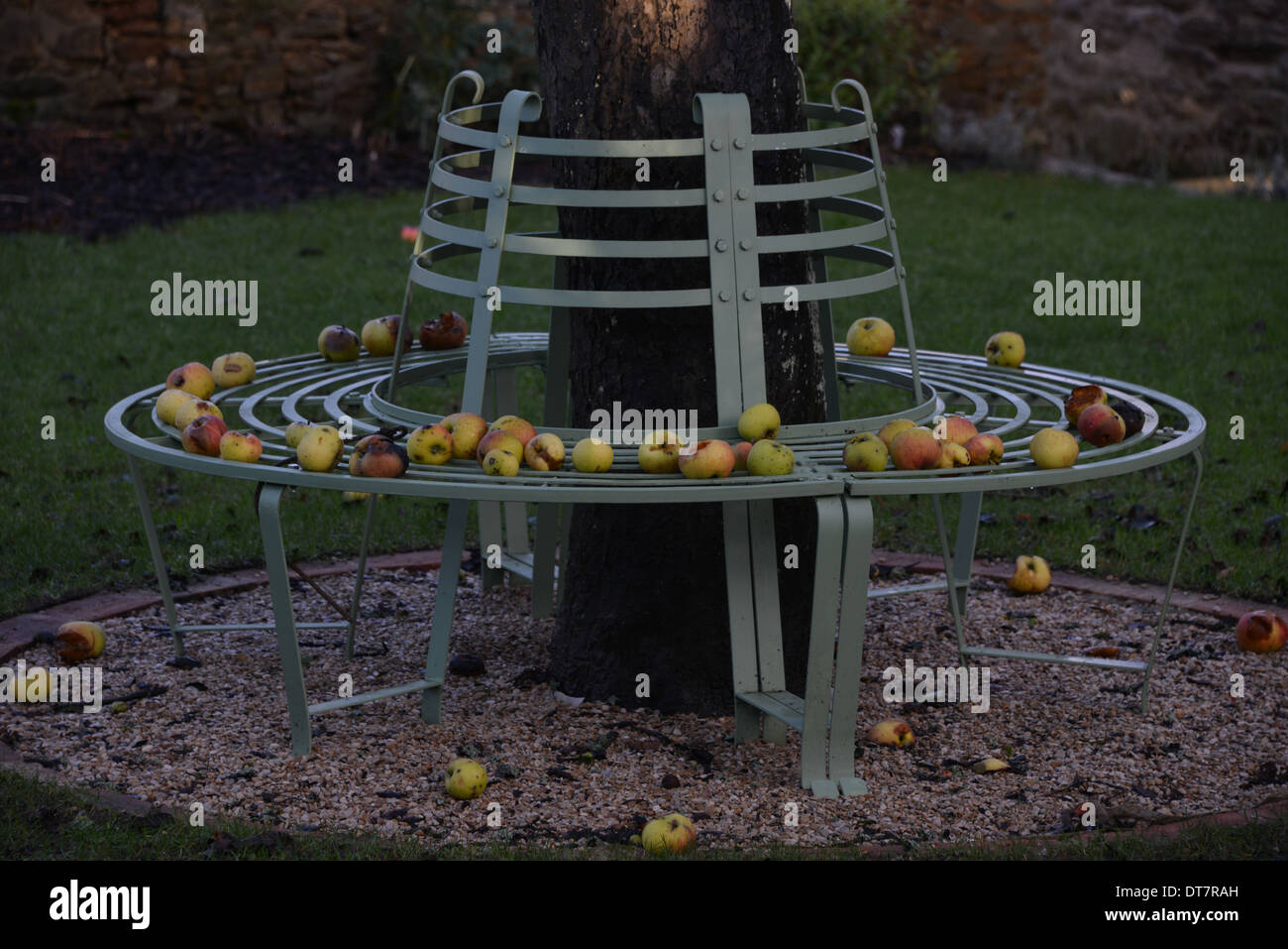 Apple tree bench garden hi-res stock photography and images - Alamy
