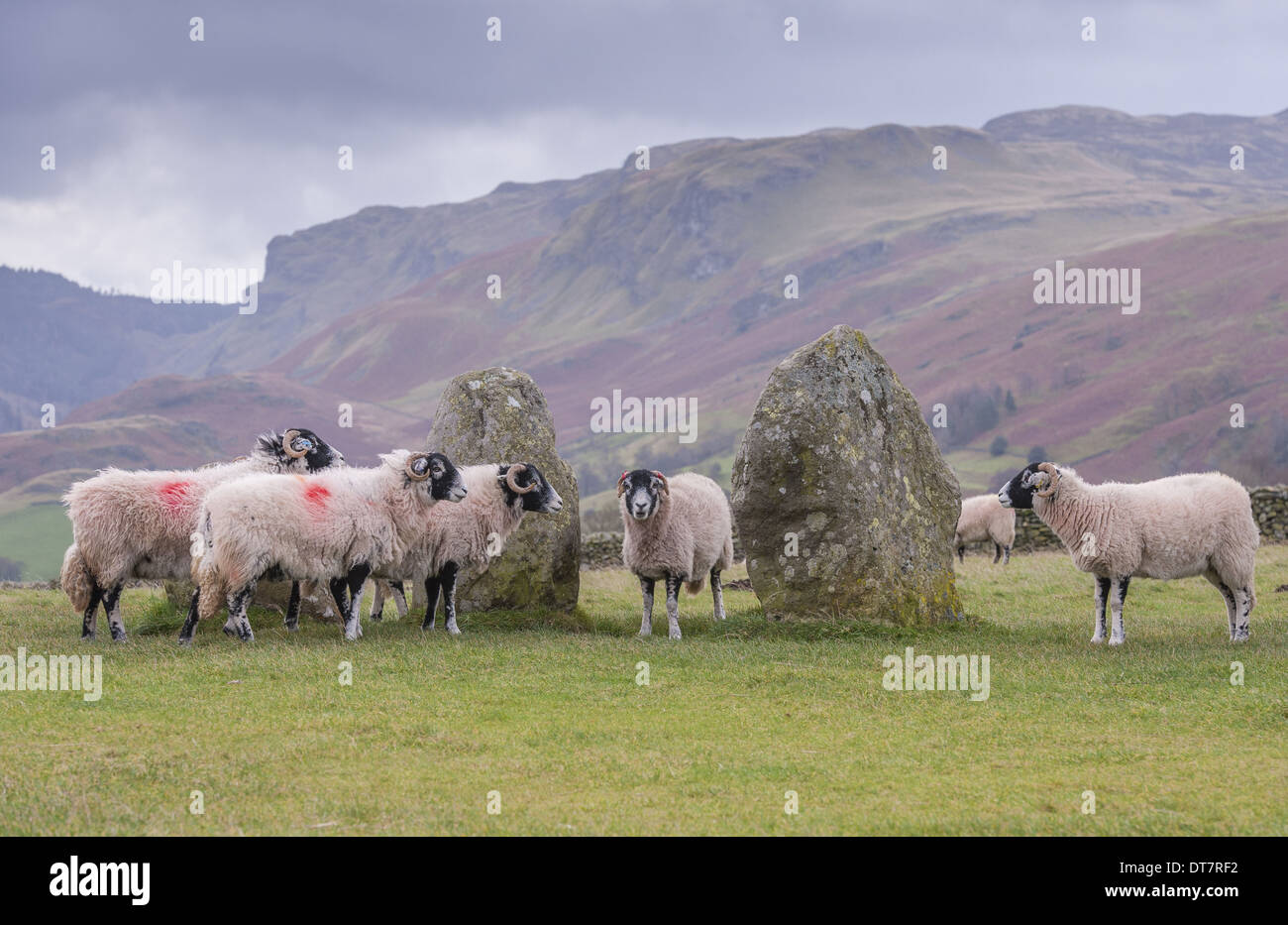 Neolithic britain farming hi-res stock photography and images - Alamy