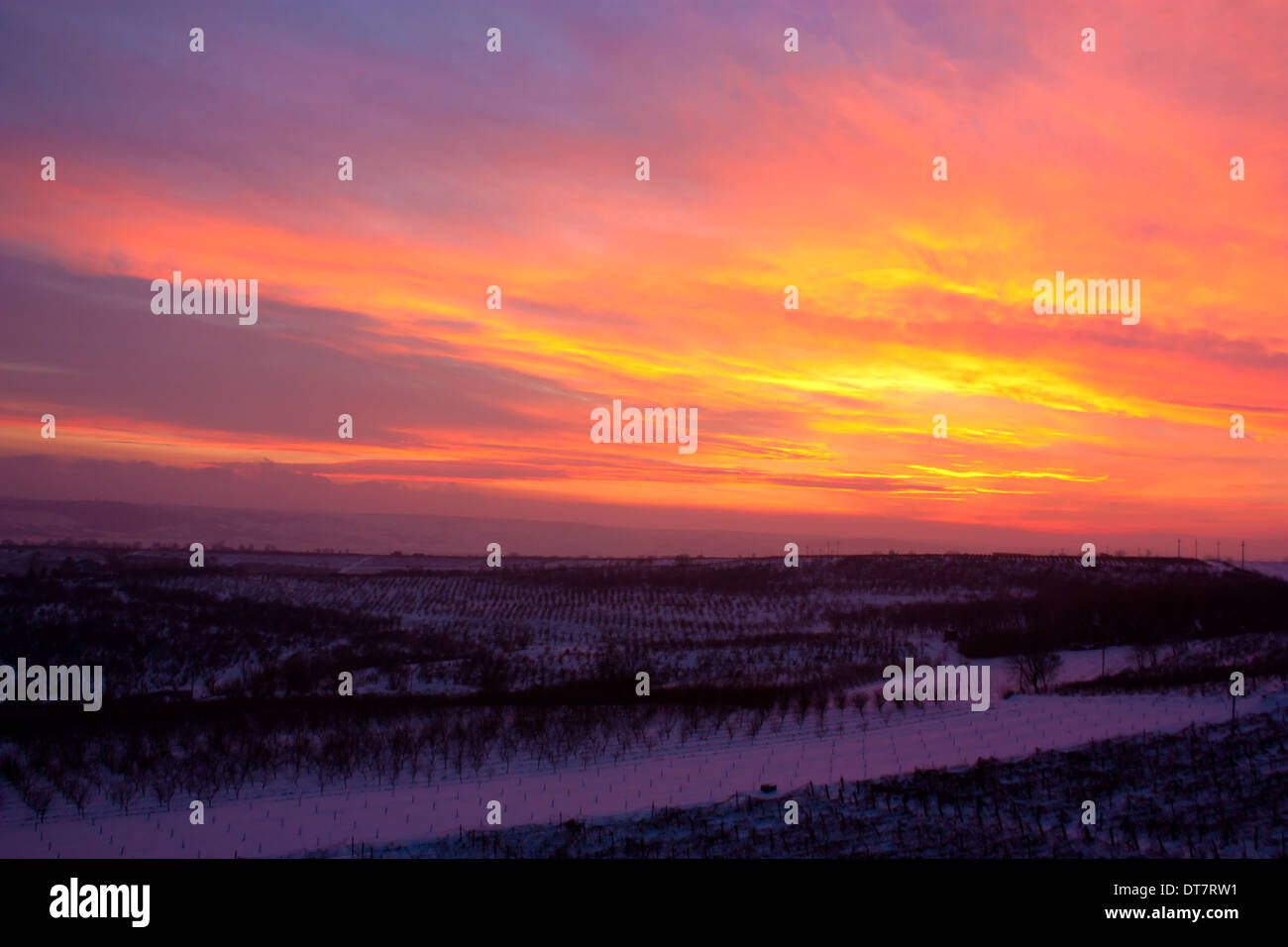 Deep golden red yellow sky. Field at winter Stock Photo - Alamy