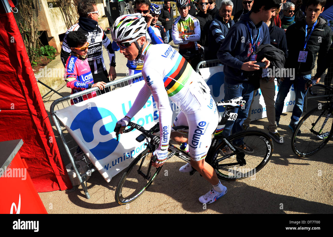 The Portuguese rider and World Champion Rui Costa in the 2014 Majorca ...
