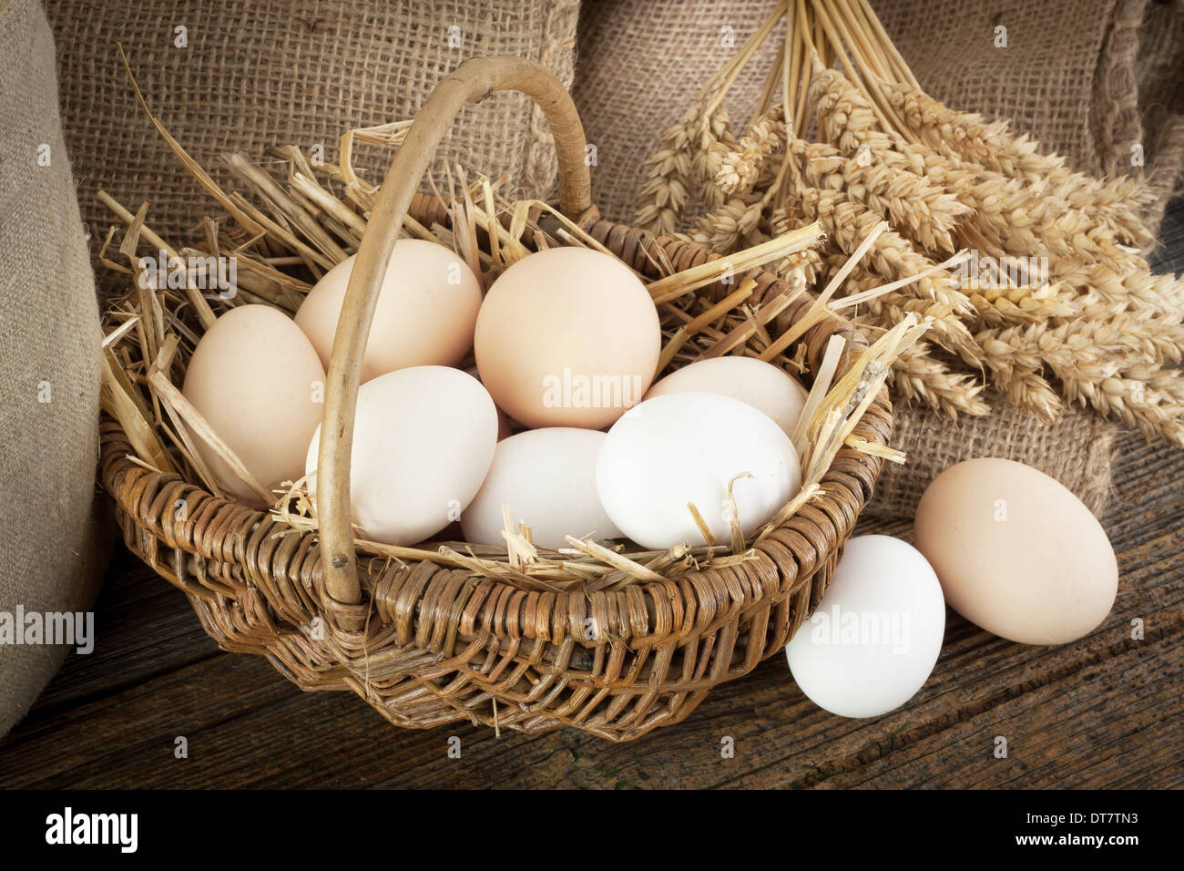 Eggs from farm hi-res stock photography and images - Alamy