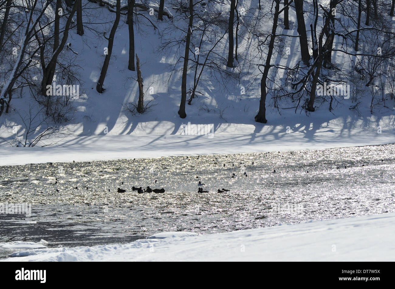 Sunlight sparkling off river water Stock Photo - Alamy