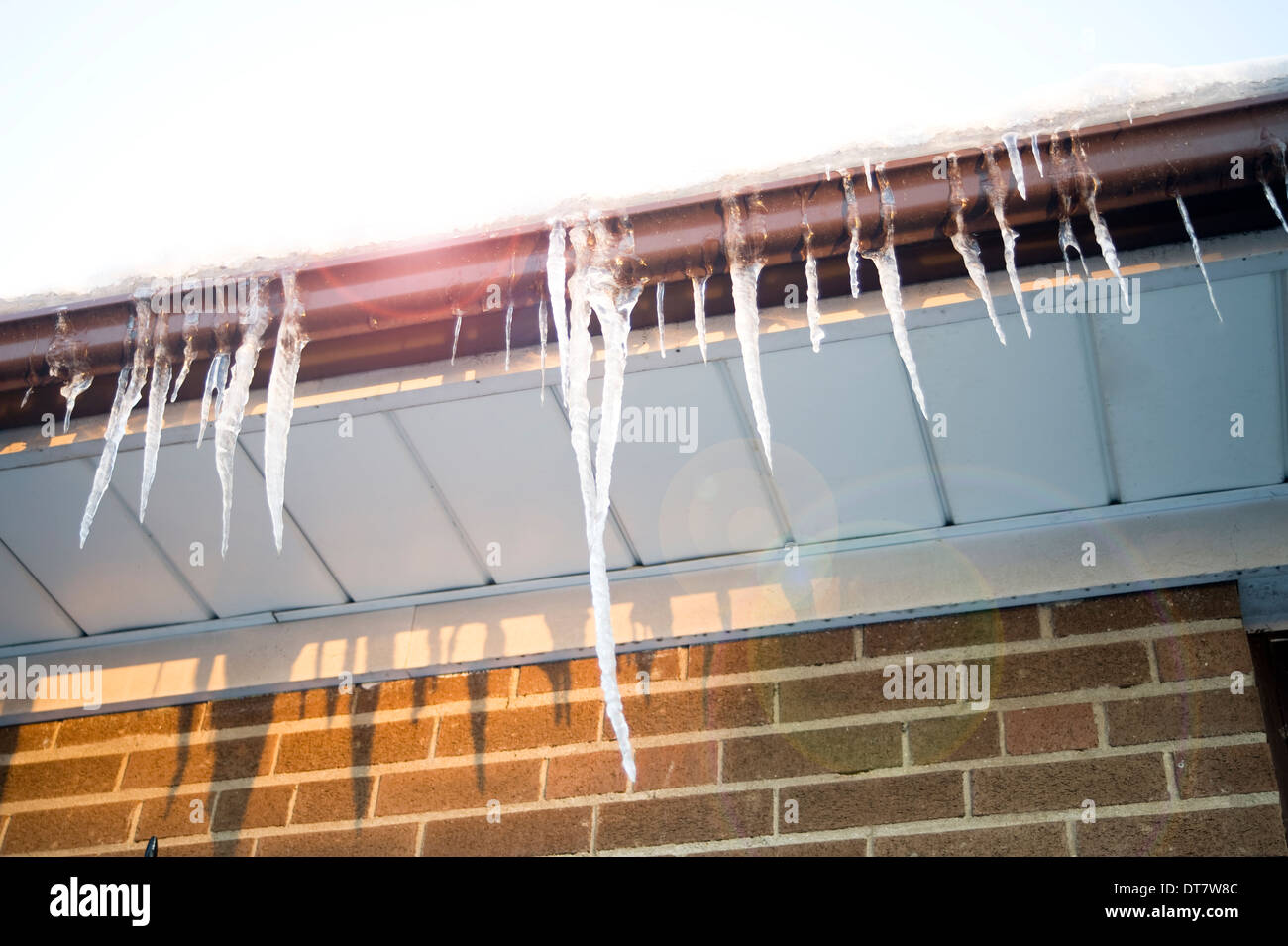 Large icicles hanging from eaves trough on the roof of a house at dawn ...