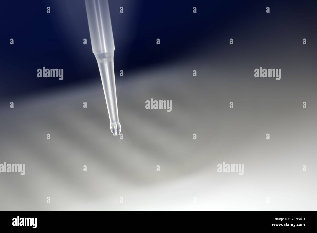 Protocol handling hi-res stock photography and images - Alamy