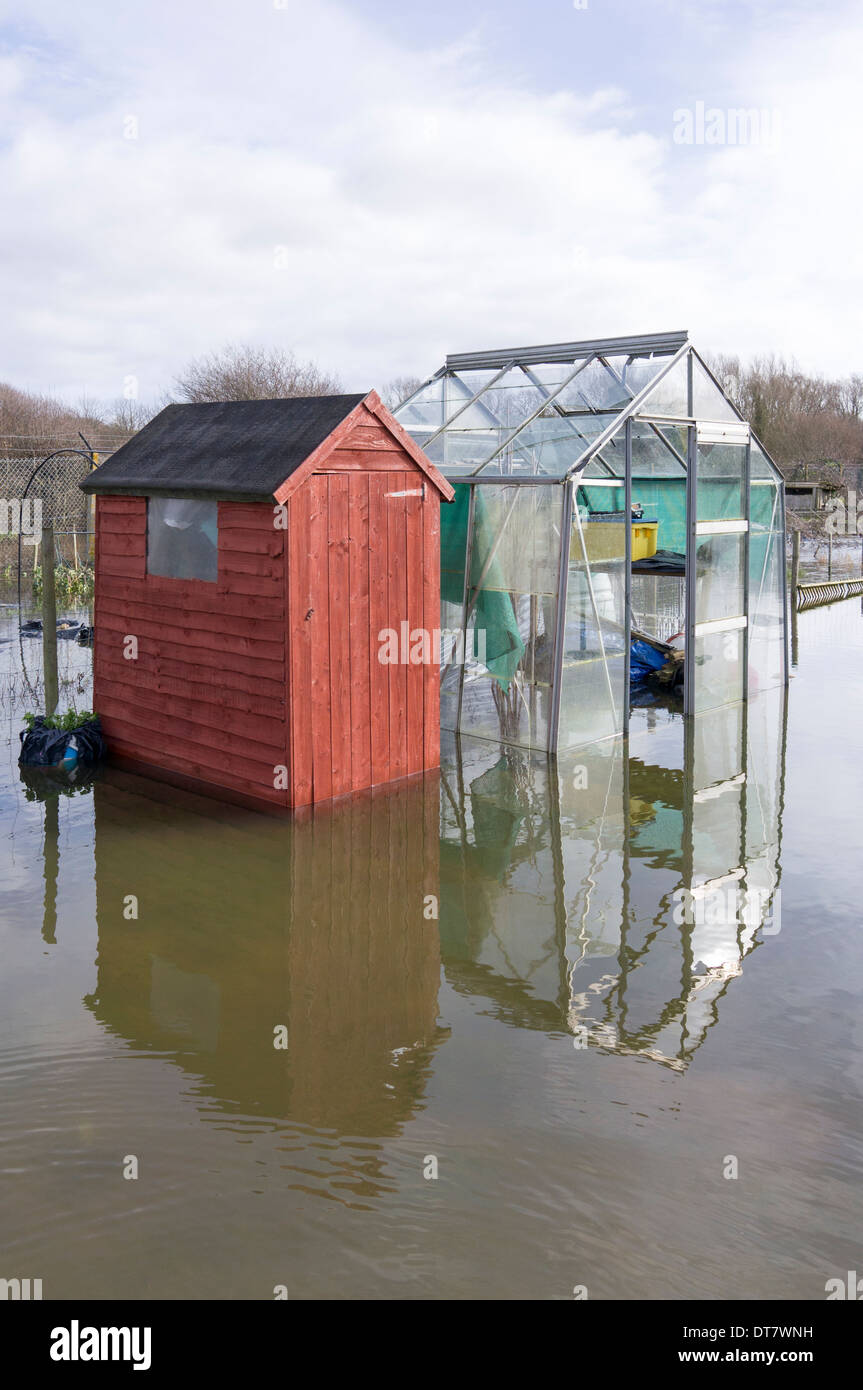 Wooden shed and glass greenhouse in flooded UK garden Stock Photo - Alamy