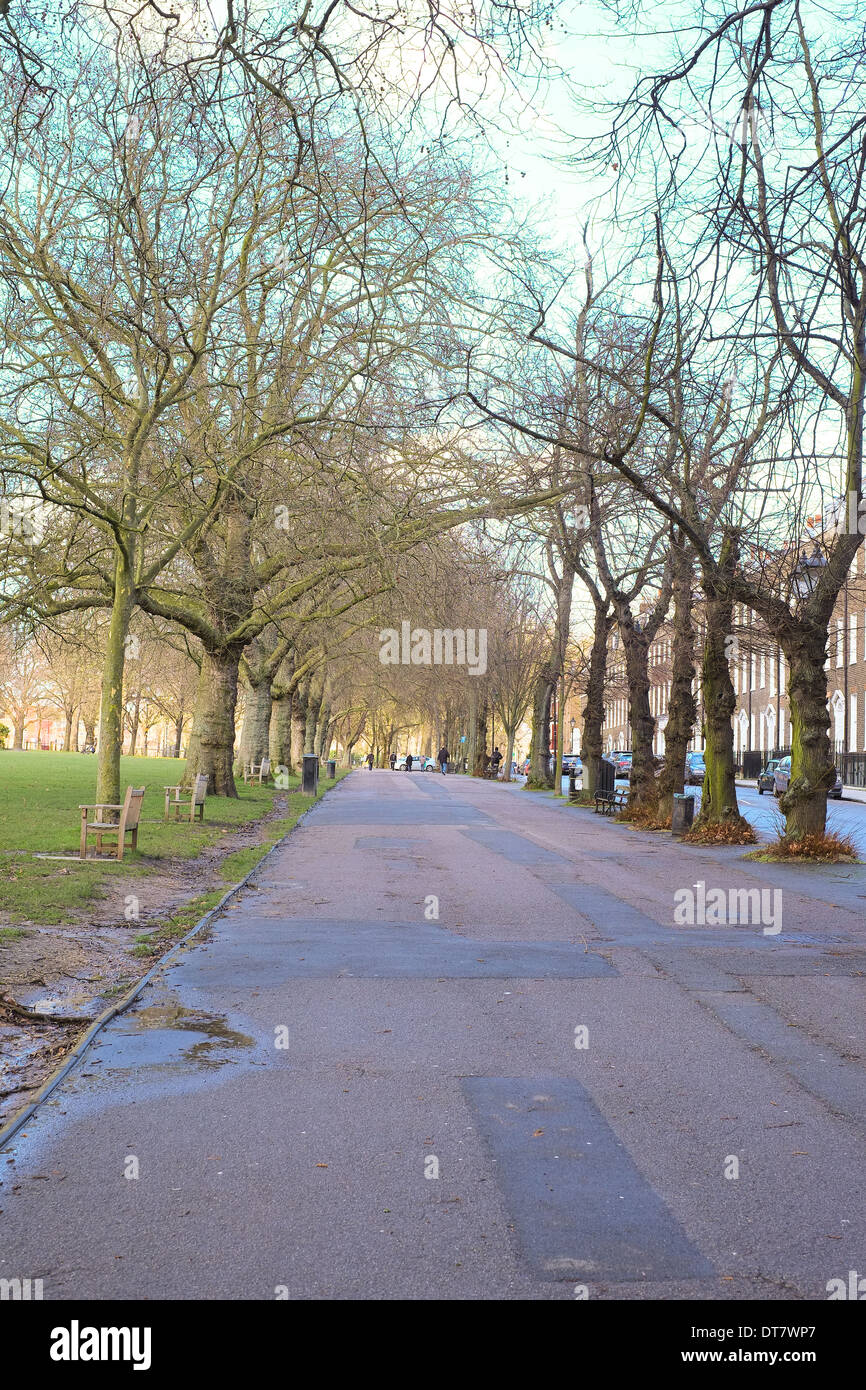 Footpath through Highbury Fields, late afternoon in February, Islington ...