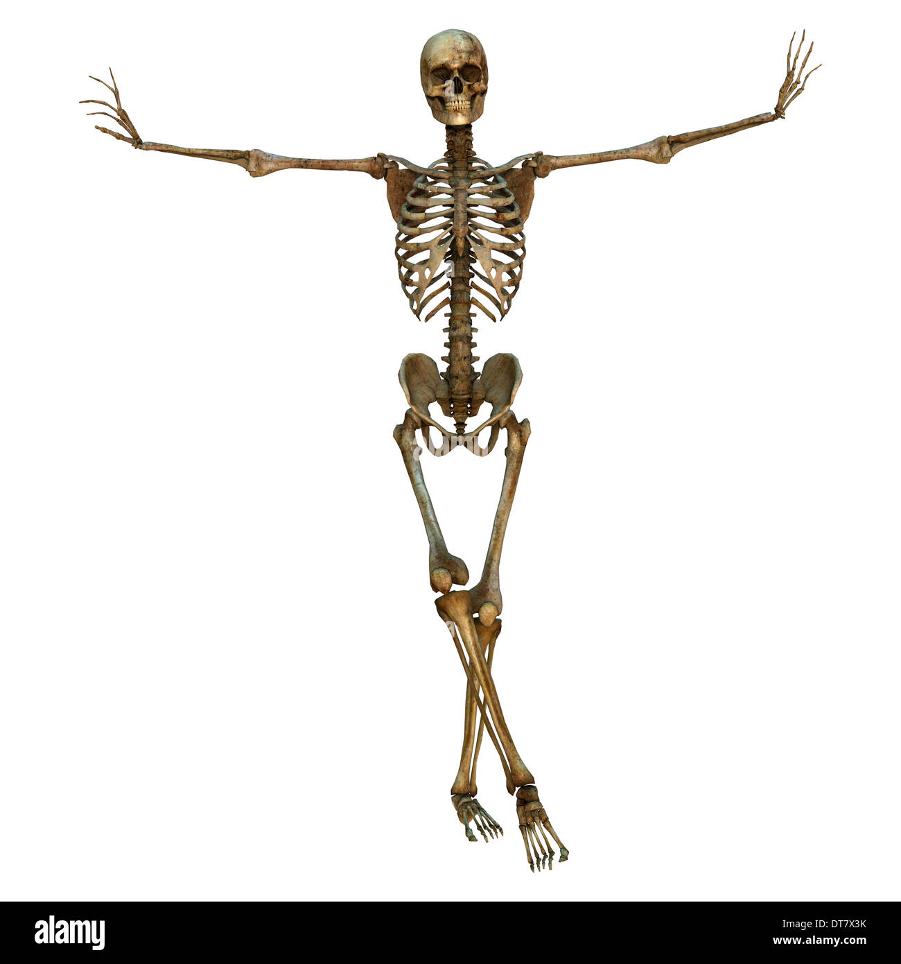 3D digital render of an old human male skeleton isolated on white ...
