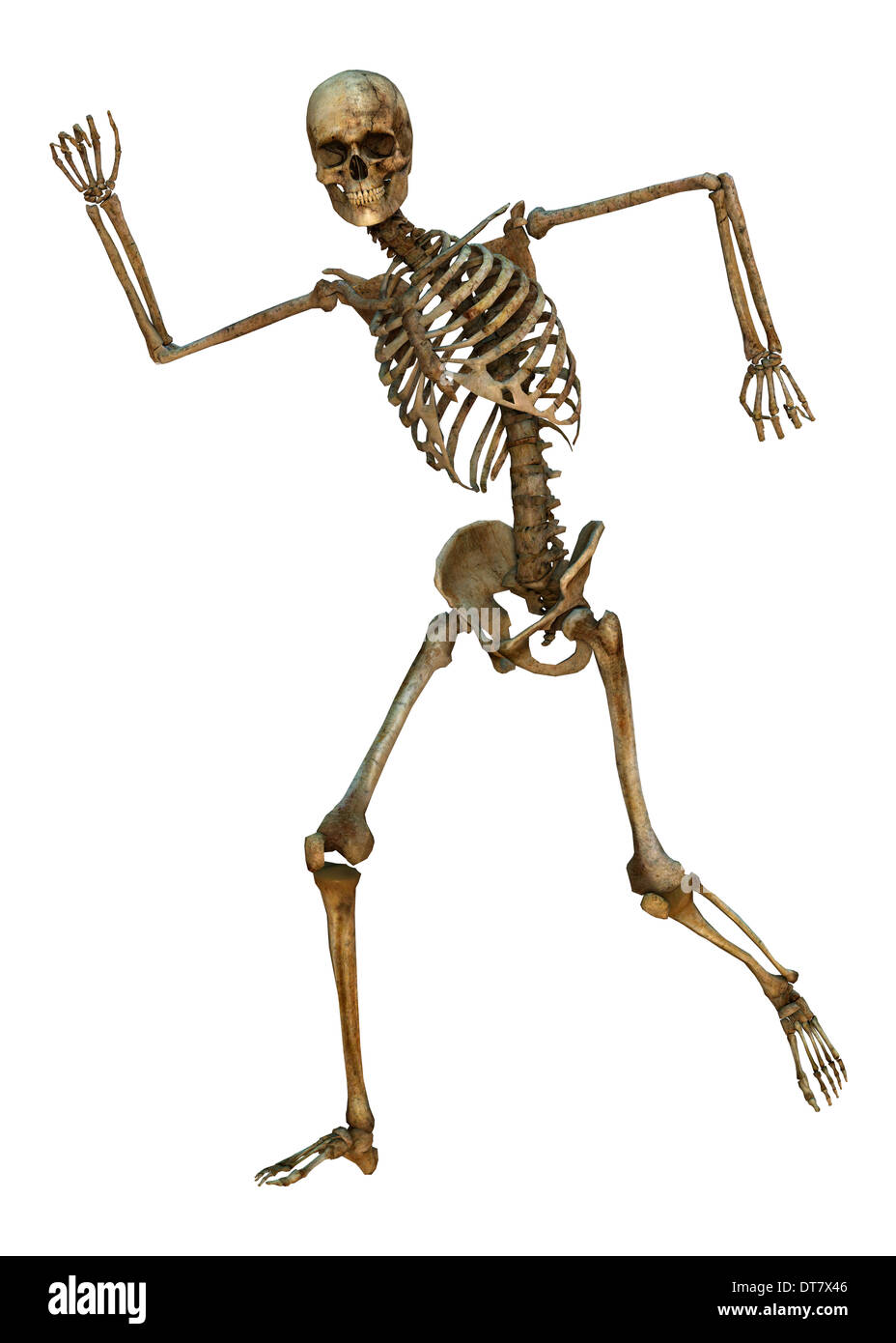 3D digital render of an old human male skeleton isolated on white ...