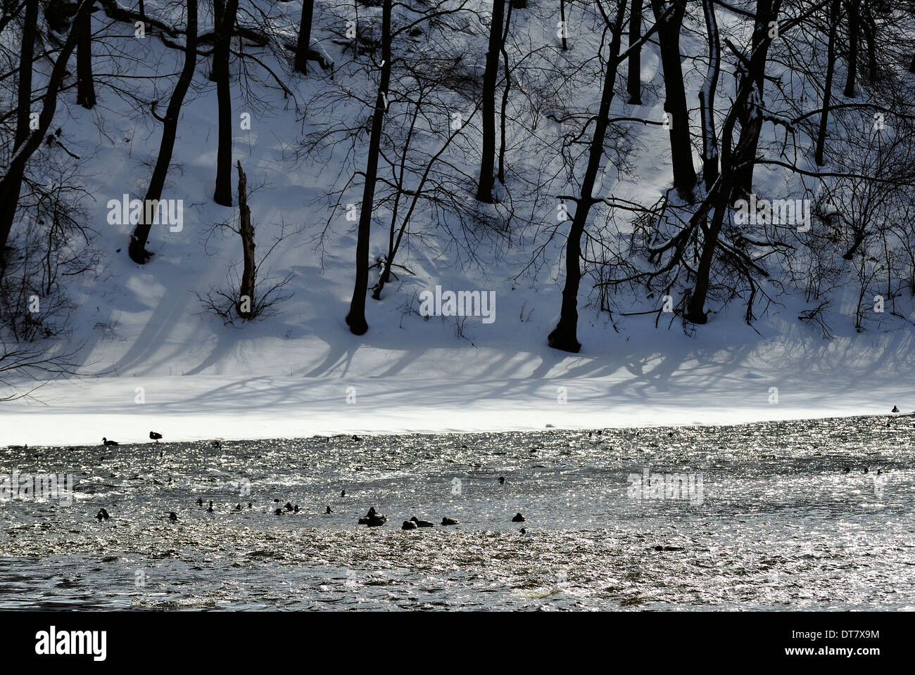 Stream cut valley hi-res stock photography and images - Alamy