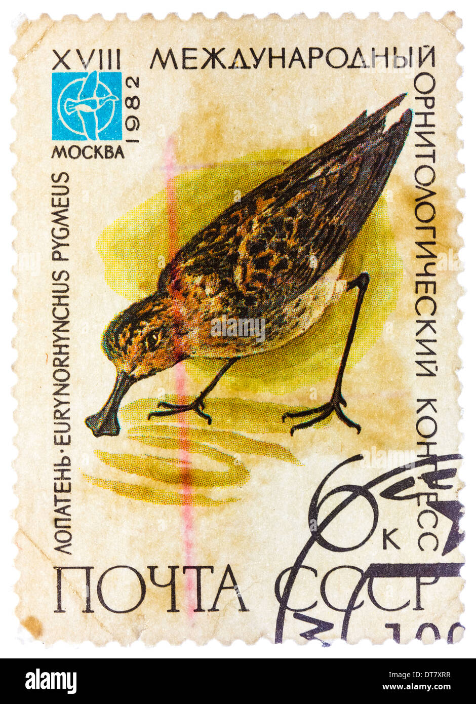 stamp printed in USSR (Russia) shows a bird Eurynorhynchus pygmeus ...