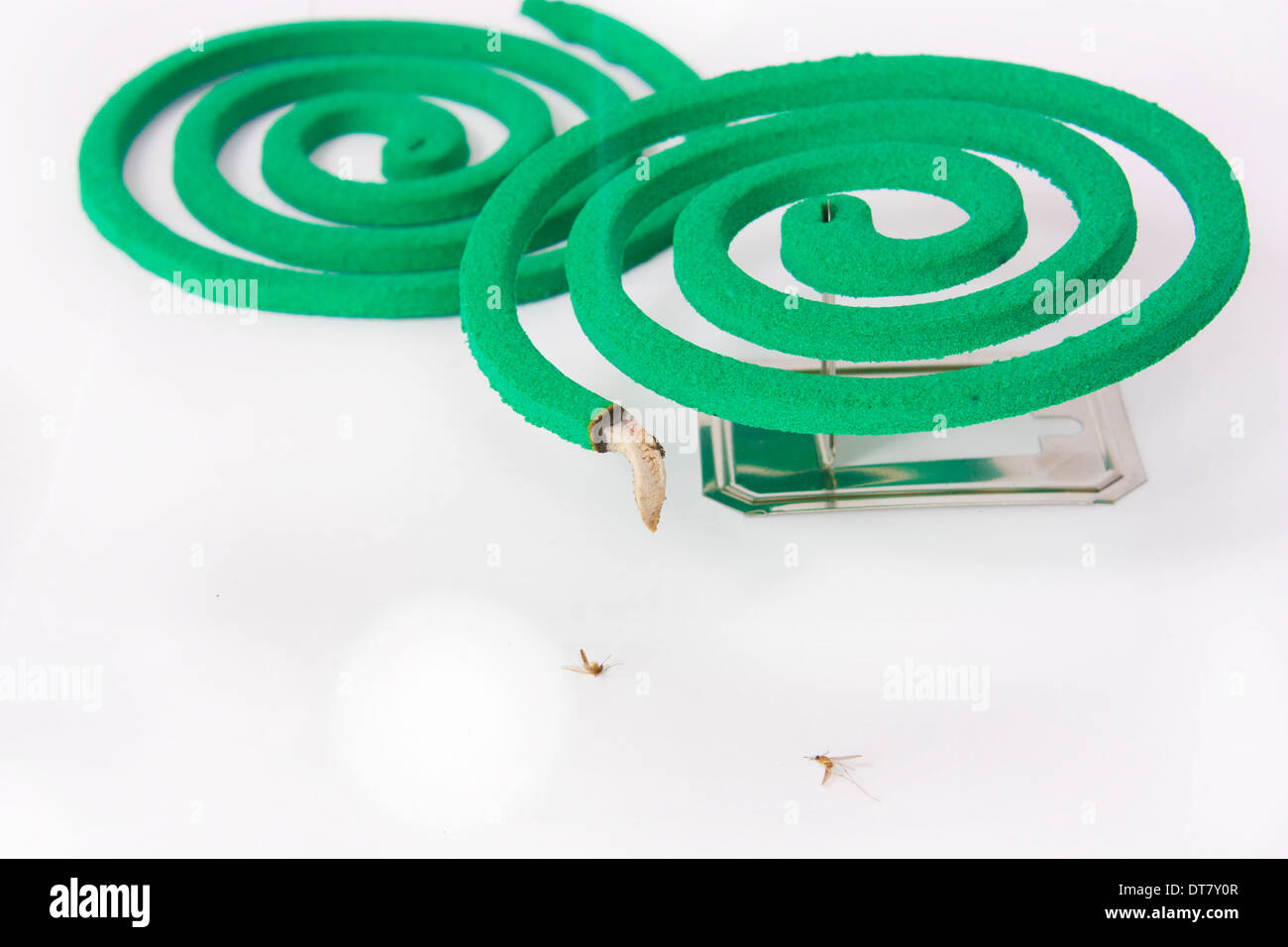 Insect coils hi-res stock photography and images - Alamy