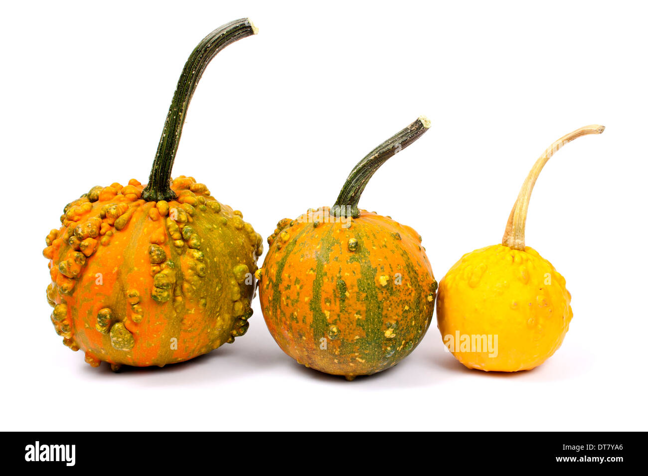 Three different hi-res stock photography and images - Alamy