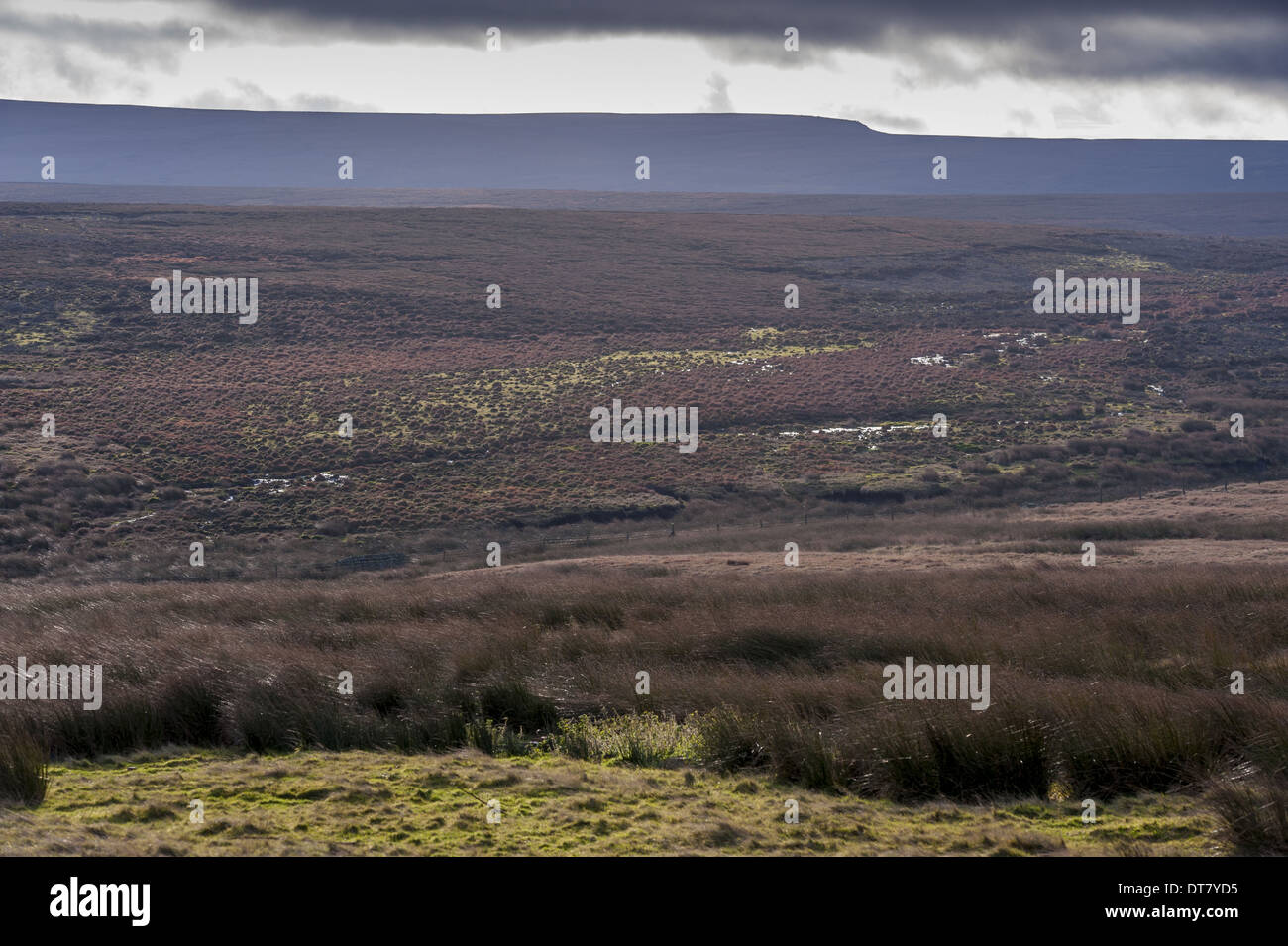 View of moorland habitat, Howden Moors, Peak District N.P., Derbyshire ...