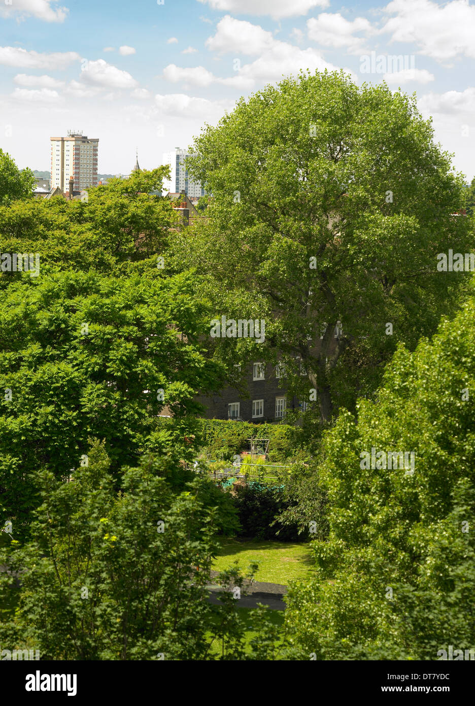 Park with city view Stock Photo - Alamy