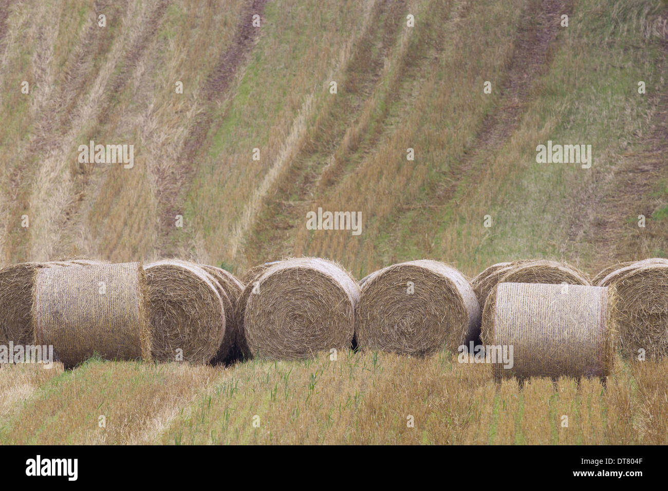 Borders round hi-res stock photography and images - Alamy