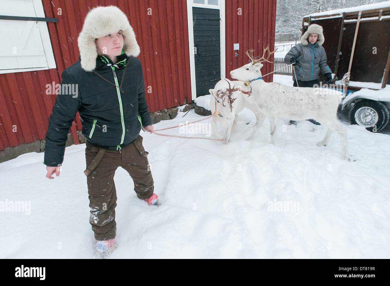 Umea, Vasterbotten, Sweden. 1st Feb, 2014. 1 February 2014, Umea ...