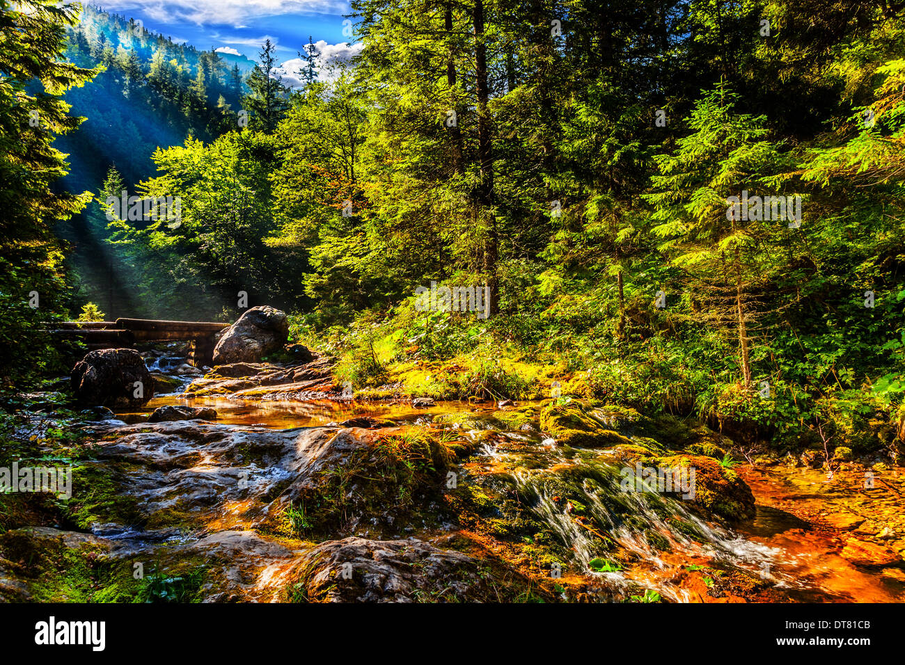 Morning light falling on the brook with sun distance Stock Photo - Alamy