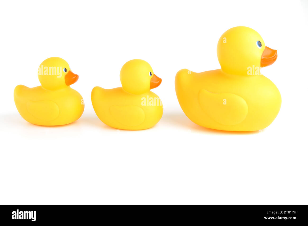 Baby Ducks Line High Resolution Stock Photography and Images - Alamy