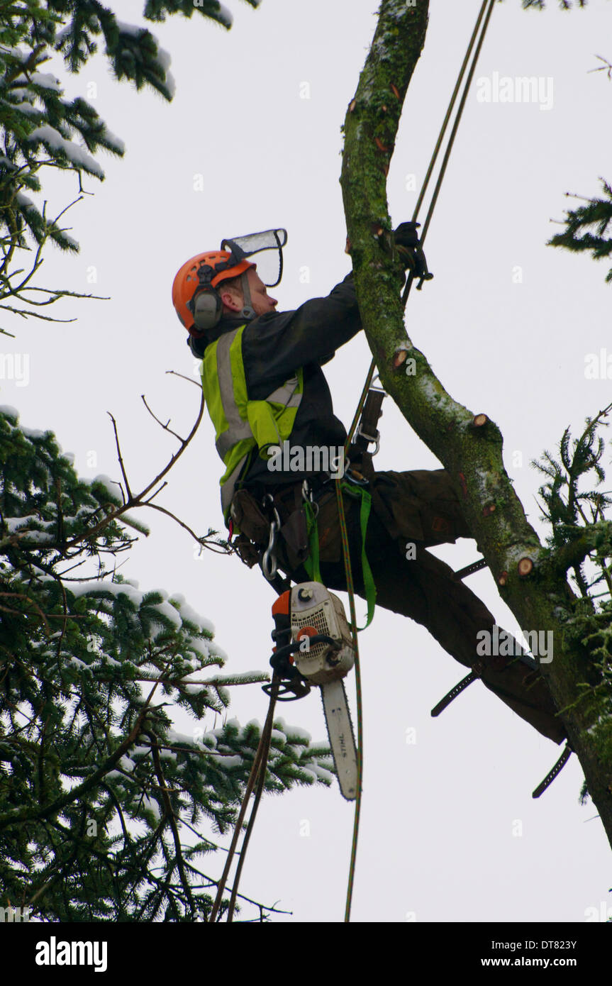 Diary felling hi-res stock photography and images - Alamy