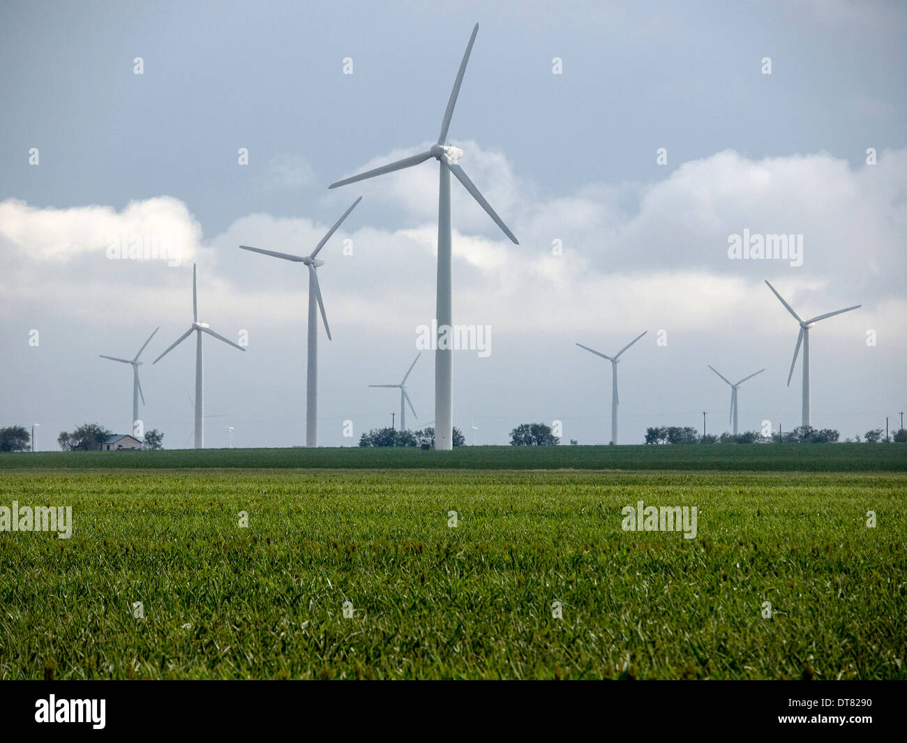 A wind farm in a traditional farm near Sweetwater, wind energy capital of Texas, gives farmers ...
