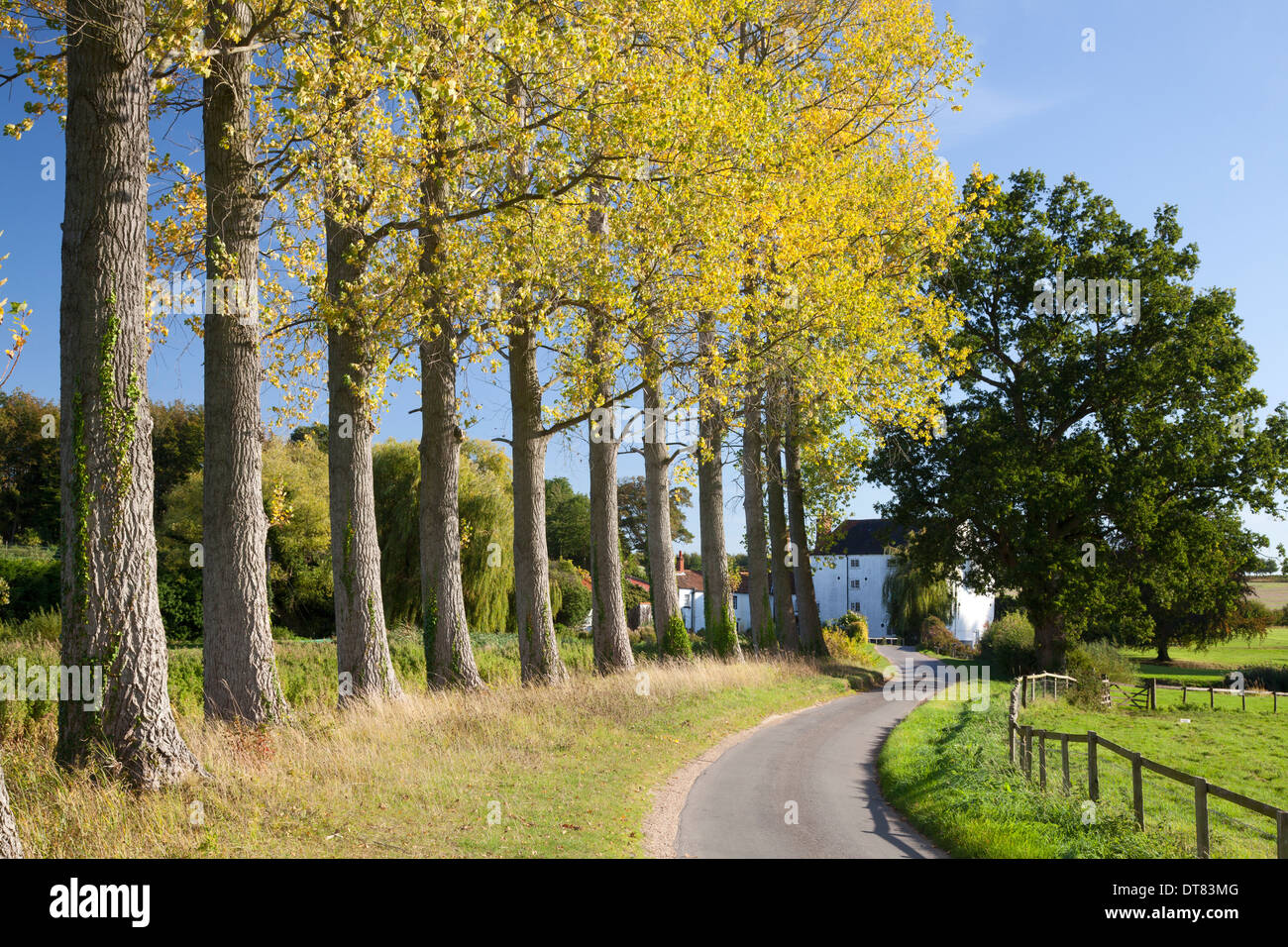 Bintree mill norfolk hi-res stock photography and images - Alamy