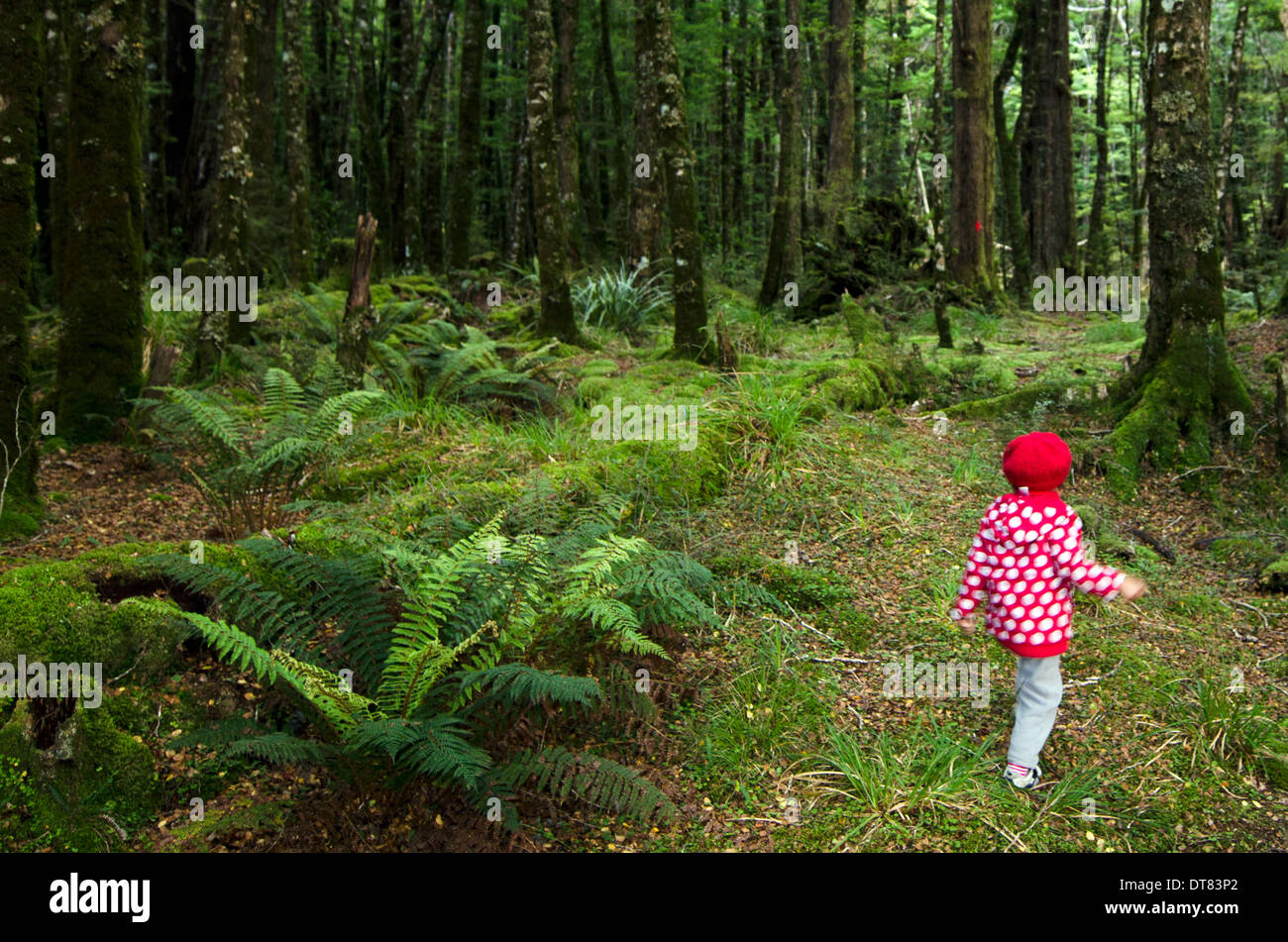 Little girl lost in the forest Stock Photo: 66561434 - Alamy Little girl lost in the forest Stock Photo: 66561434 - Alamy
