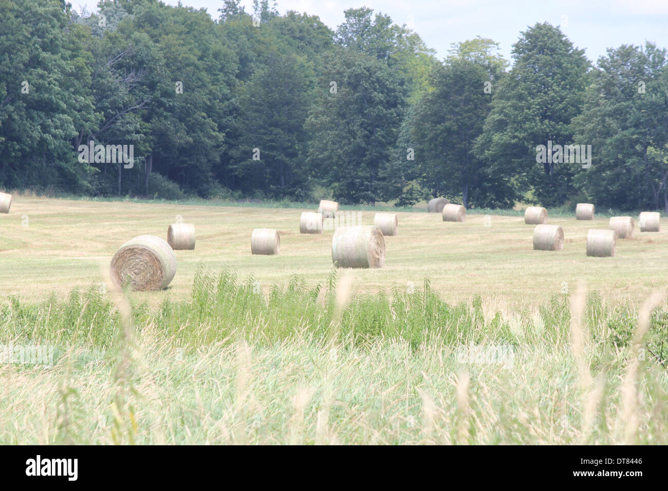 Small bales hi-res stock photography and images - Alamy