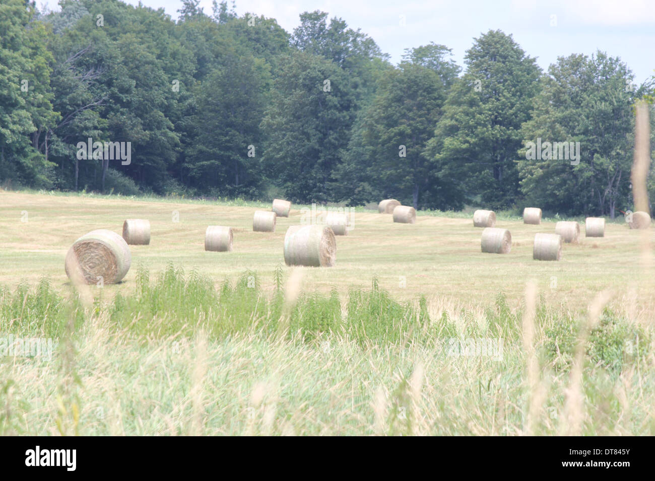 Small bales hi-res stock photography and images - Alamy