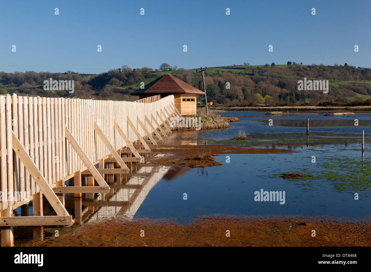 The Island Hide in the centre of Black Hole Marsh, Seaton, Devon Stock ...