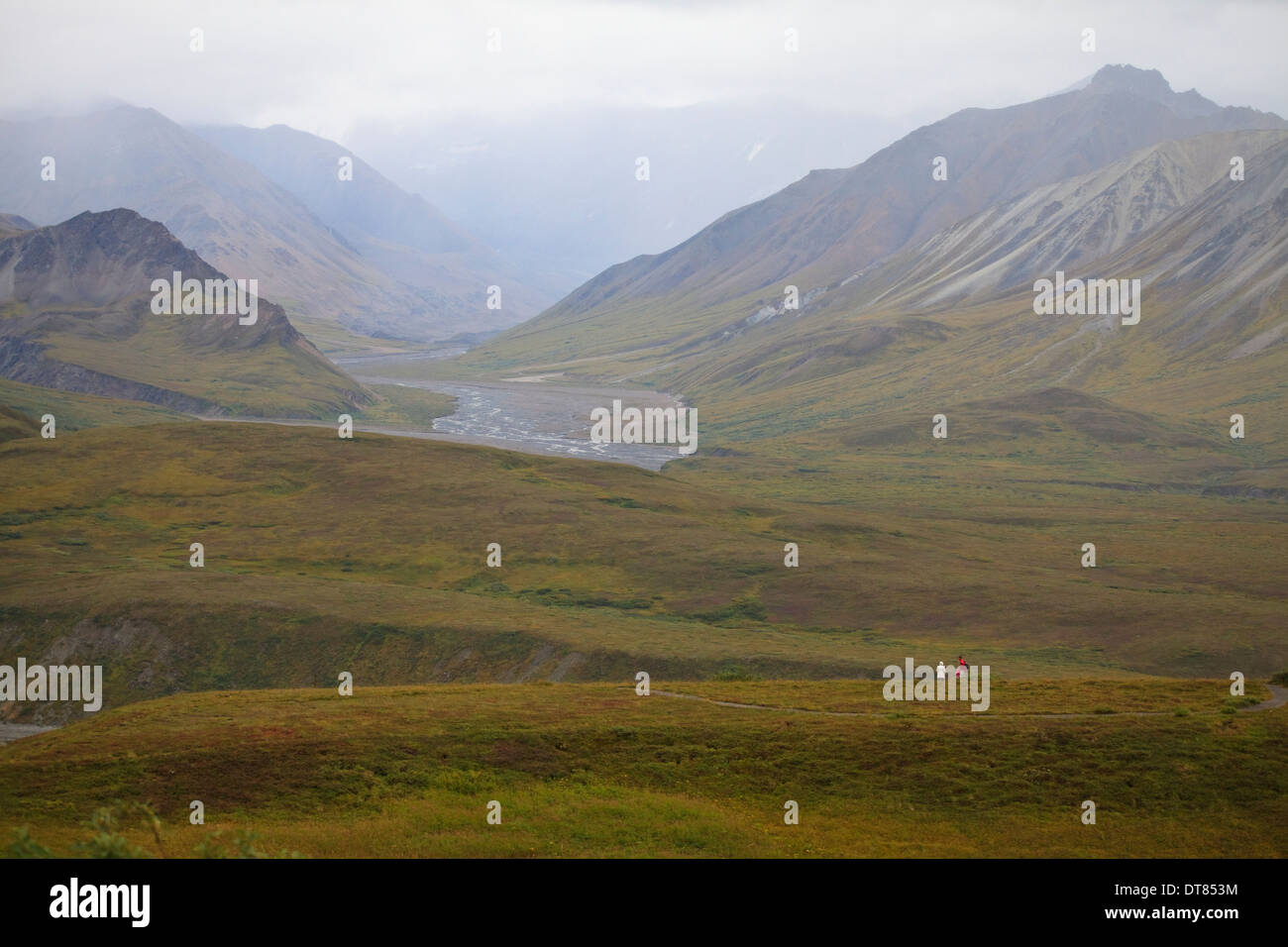 Denali scene hi-res stock photography and images - Alamy