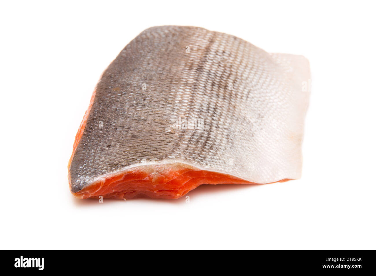 Wild Alaskan Sockeye or Coho Salmon fillet isolated on a white studio ...