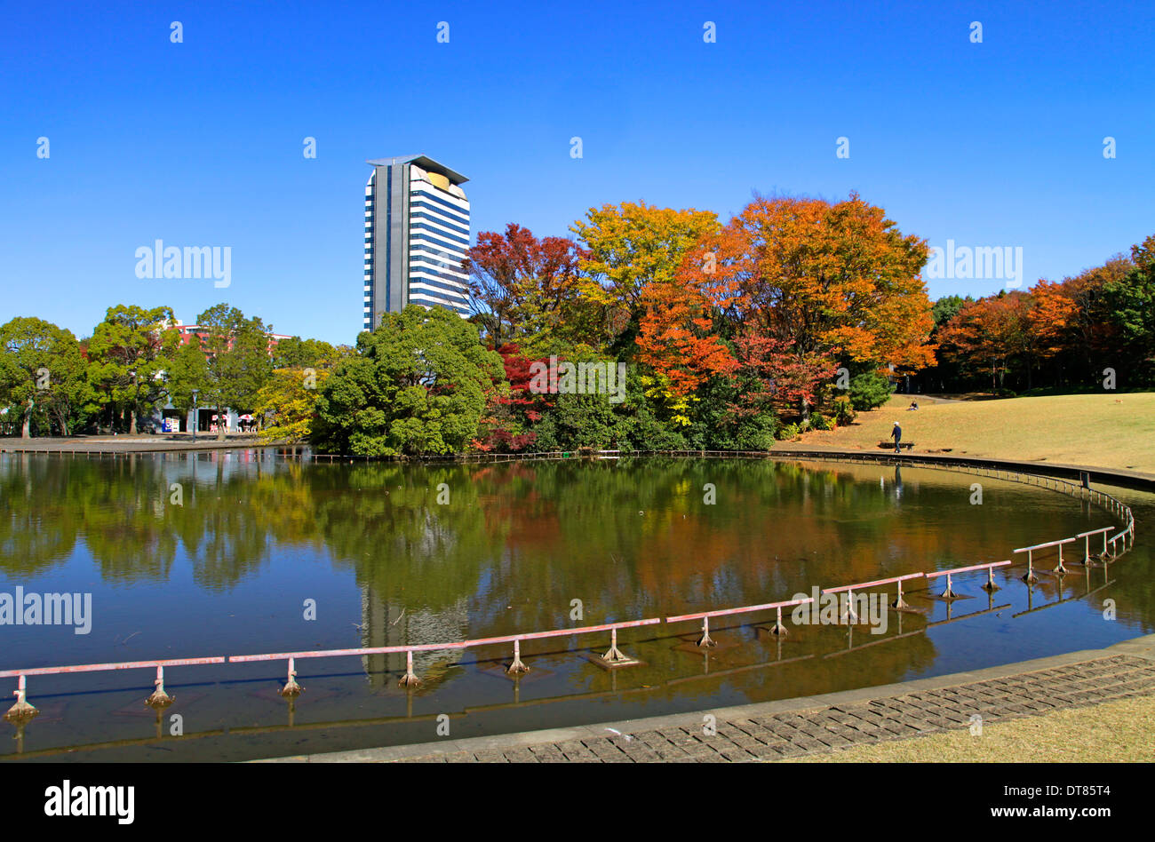 Tama japan hi-res stock photography and images - Alamy