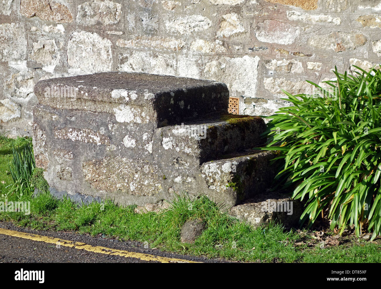 Horse Steps Stock Photos & Horse Steps Stock Images - Alamy