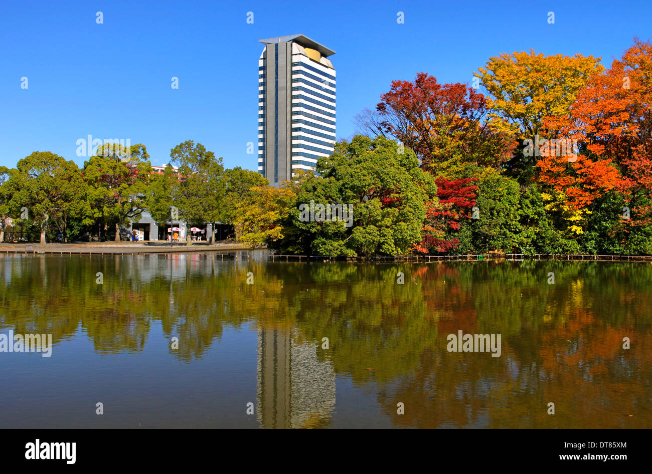 Tama-Chuo Park Autumn scene Tokyo Japan Stock Photo - Alamy