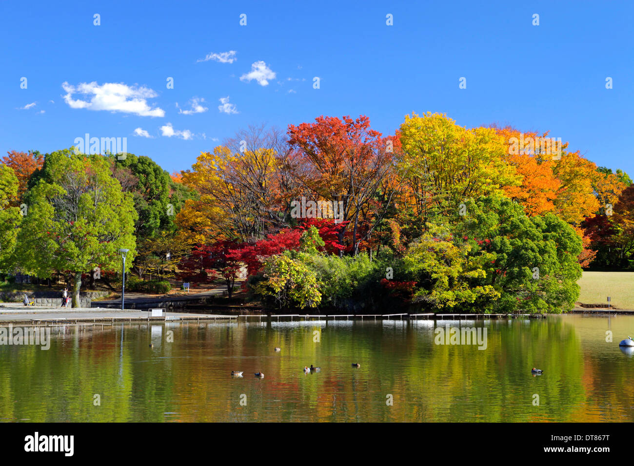 Tama japan hi-res stock photography and images - Alamy