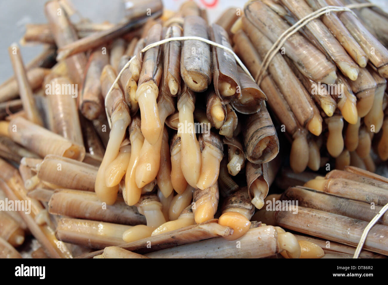 Navajas (razor clams) in the Mercado Centra fish market, Cadiz ...