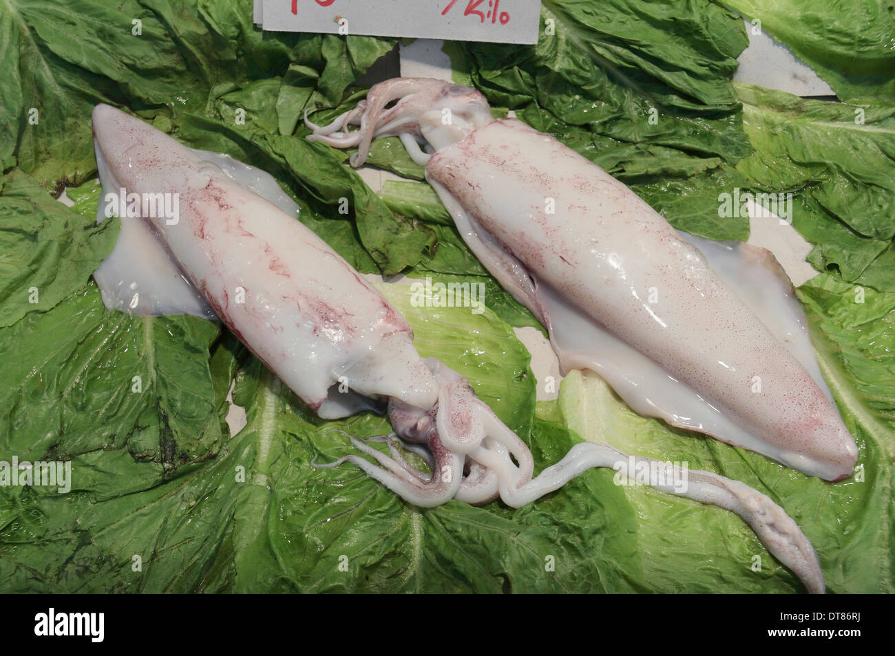 Calamari cadiz hi-res stock photography and images - Alamy
