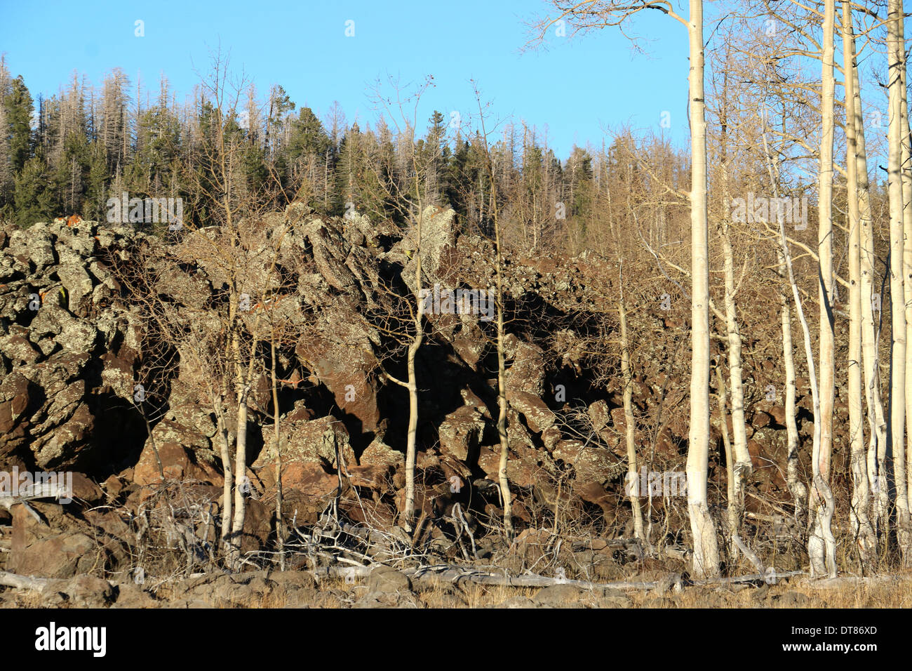 Basaltic volcano hi-res stock photography and images - Alamy