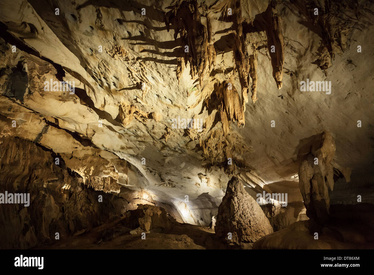 Limestone cave at Gunung Mulu national park Stock Photo - Alamy
