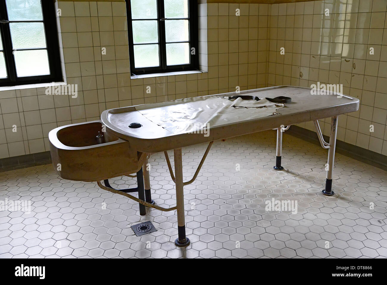 Hitler death autopsy hi-res stock photography and images - Alamy