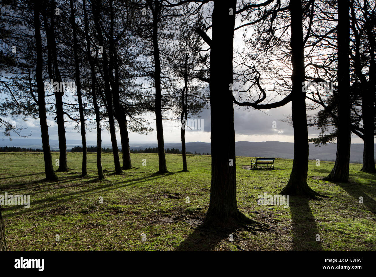 A view looking south from the clump of Pine trees on May Hill ...