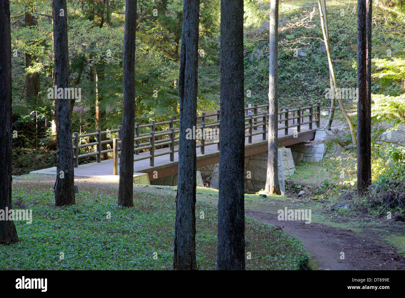 Hachioji Castle forest and walk way Tokyo Japan Stock Photo - Alamy