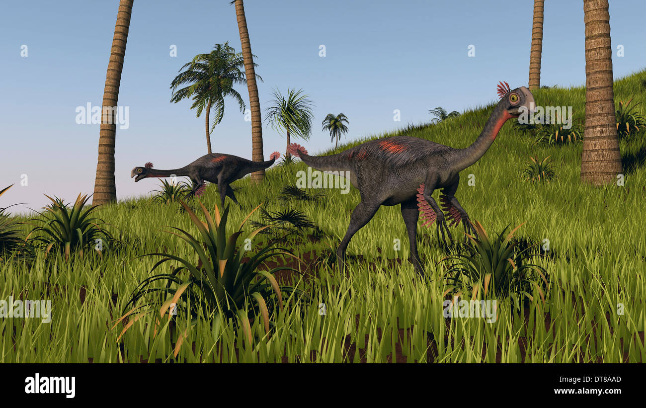 Oviraptorosaur hi-res stock photography and images - Alamy