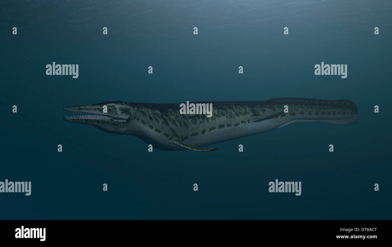 Mosasaur swimming in prehistoric waters Stock Photo - Alamy