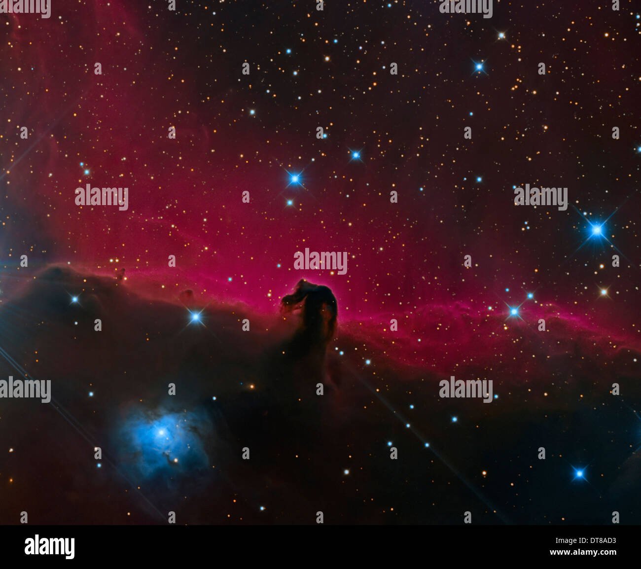 The Horsehead Nebula Stock Photo - Alamy
