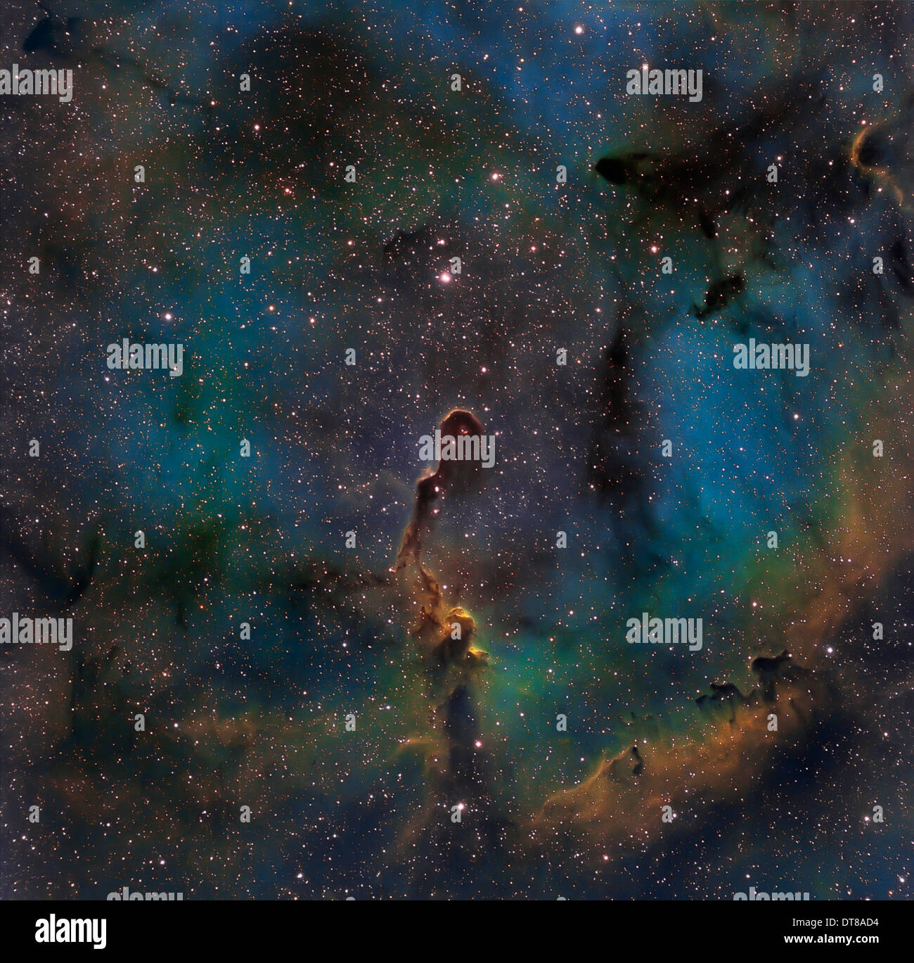 Elephant trunk nebula hi-res stock photography and images - Alamy