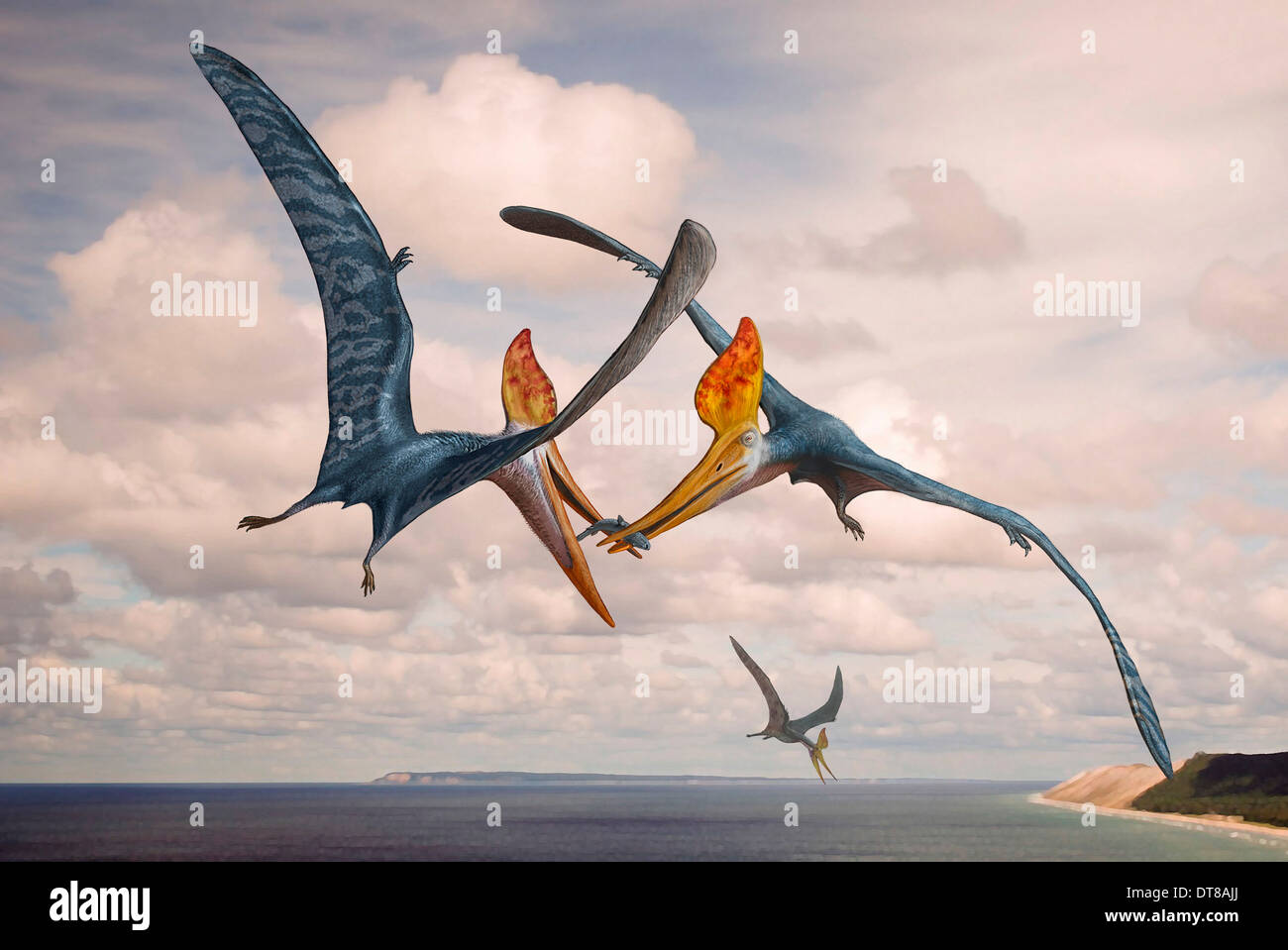 Pterodactyl fighting hi-res stock photography and images - Alamy