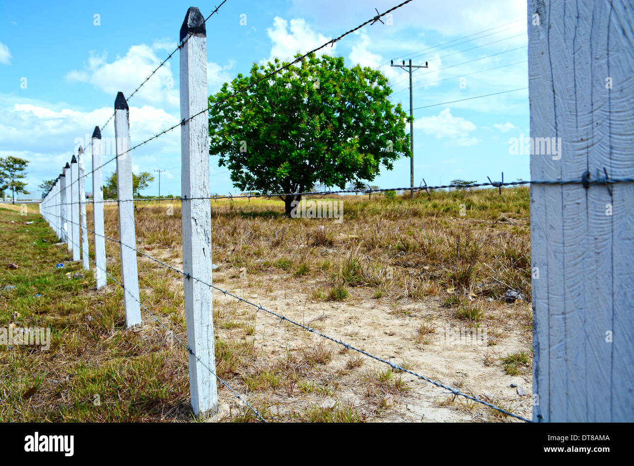 Row fence posts hi-res stock photography and images - Alamy