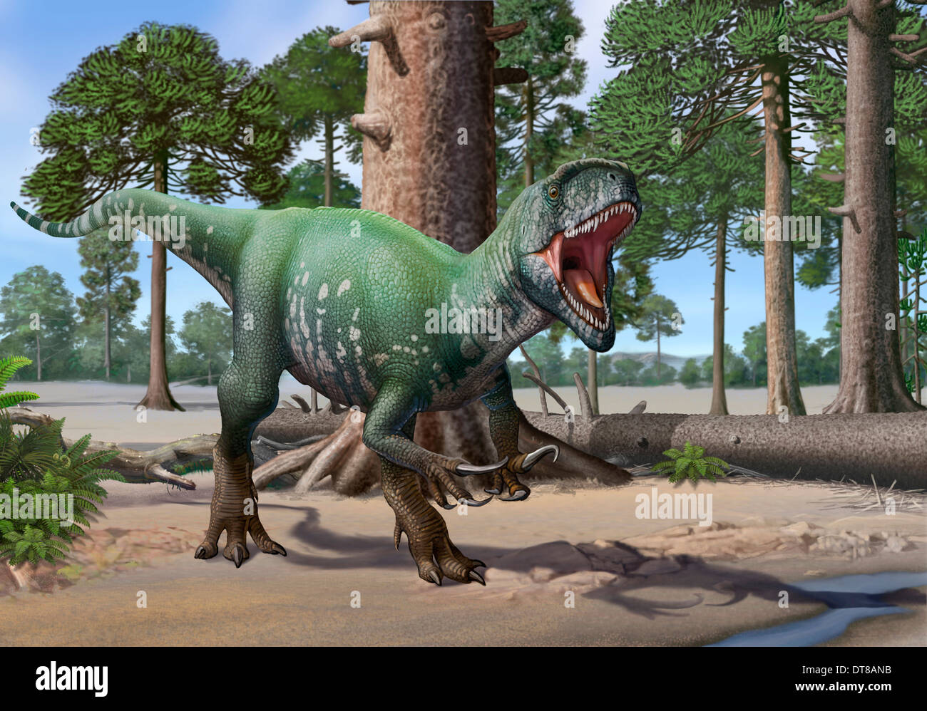 A Megaraptor lets out a vicious roar. The Megaraptor lived in the ...